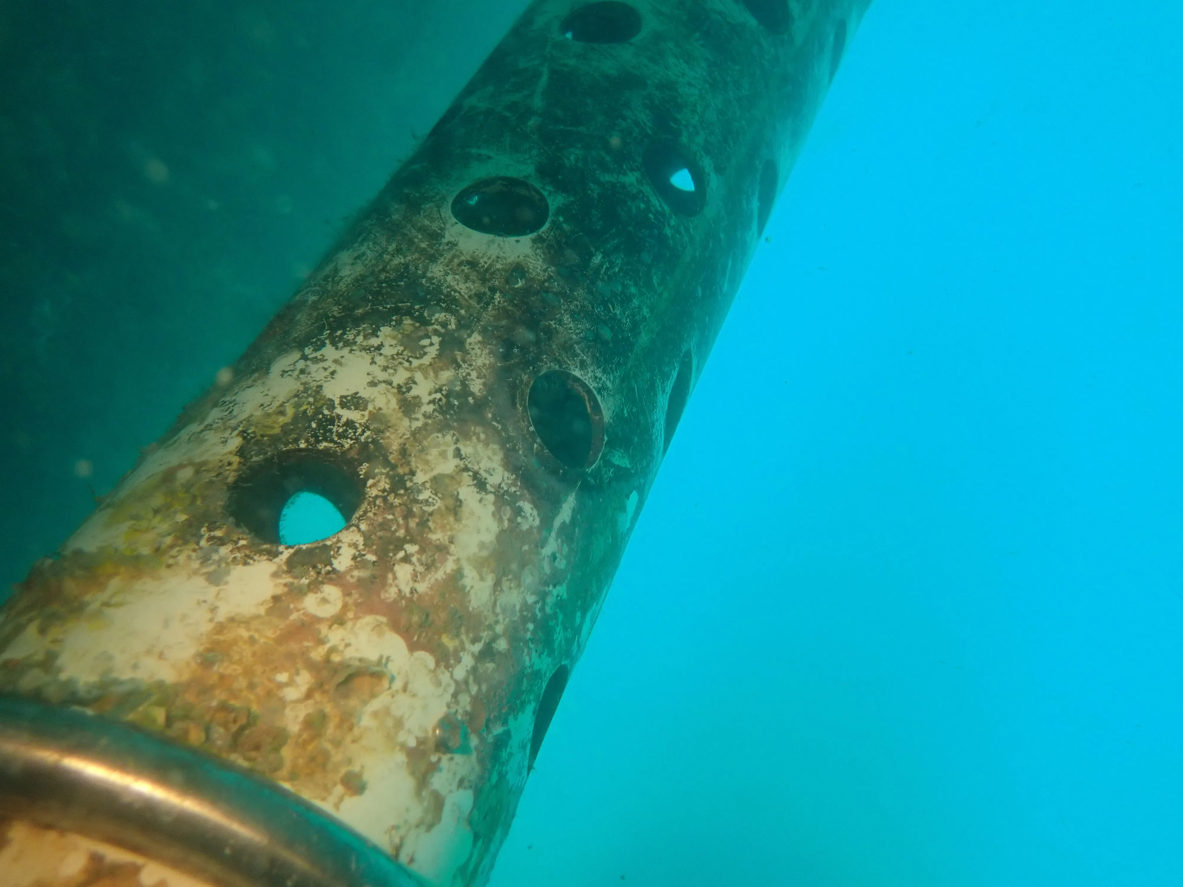 Pacific Marine Group | DBCT Underwater Inspections