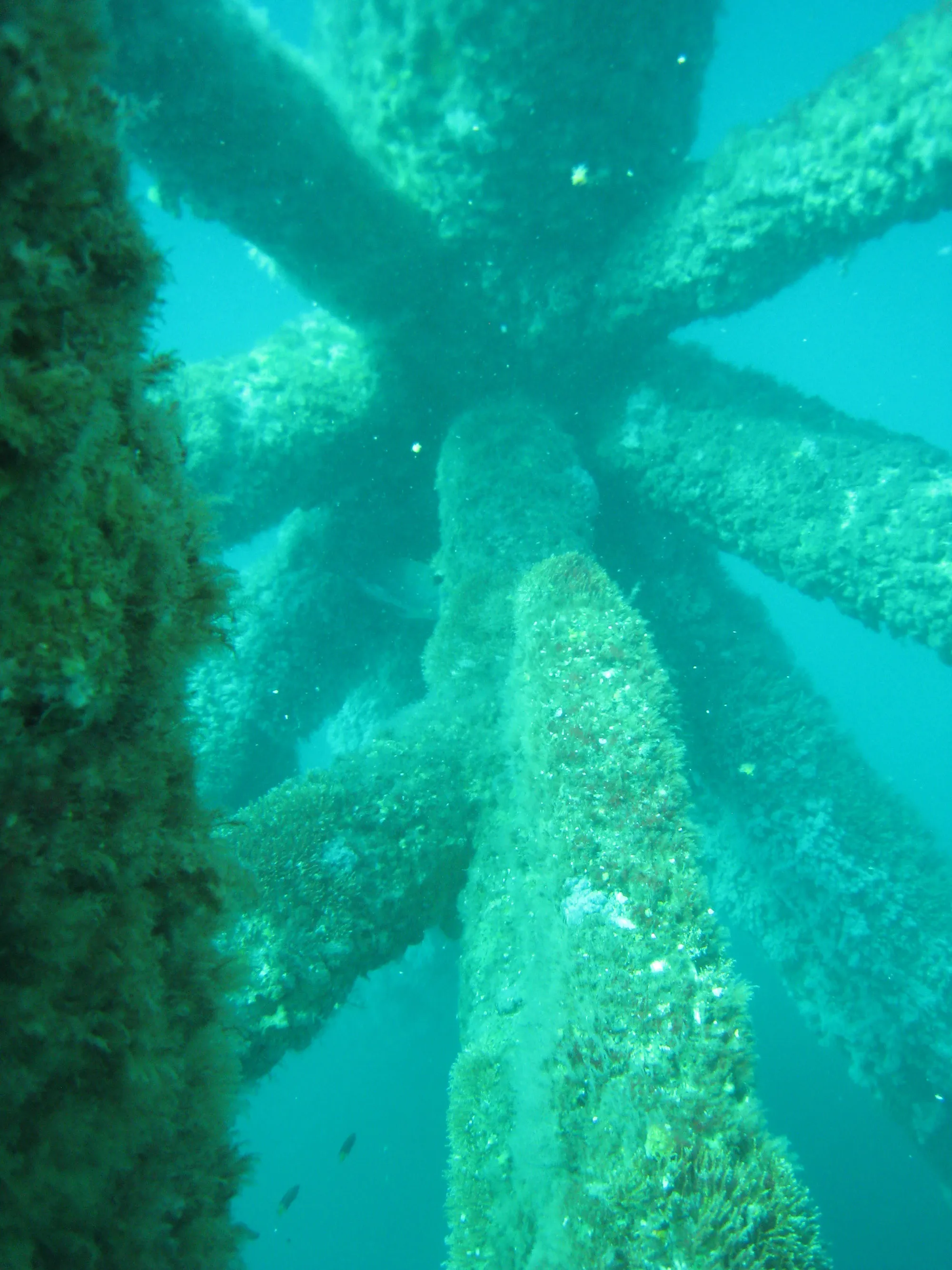 Pacific Marine Group | Oilsearch Ltd Offshore Diving