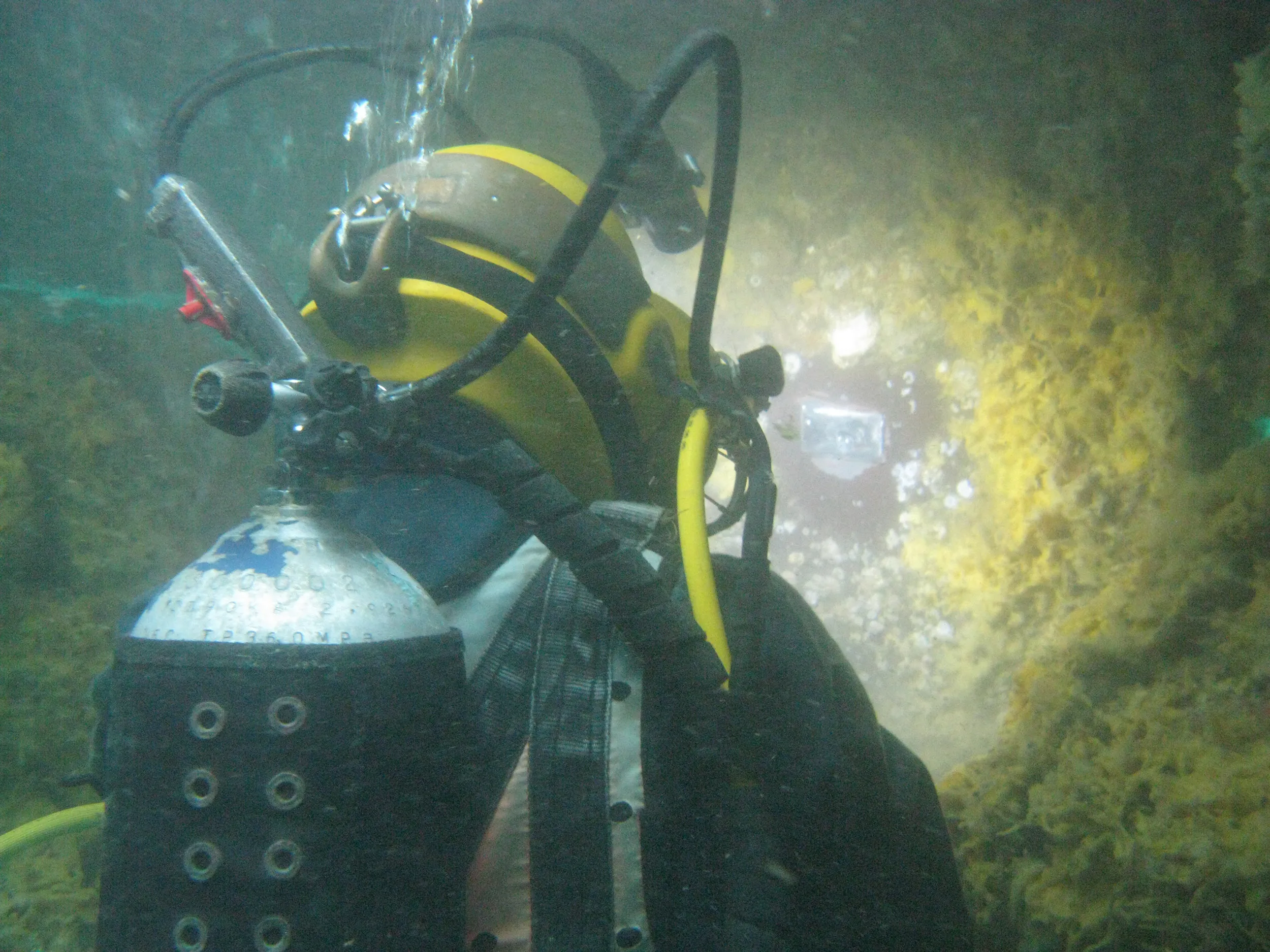 Pacific Marine Group | Oilsearch Ltd Offshore Diving